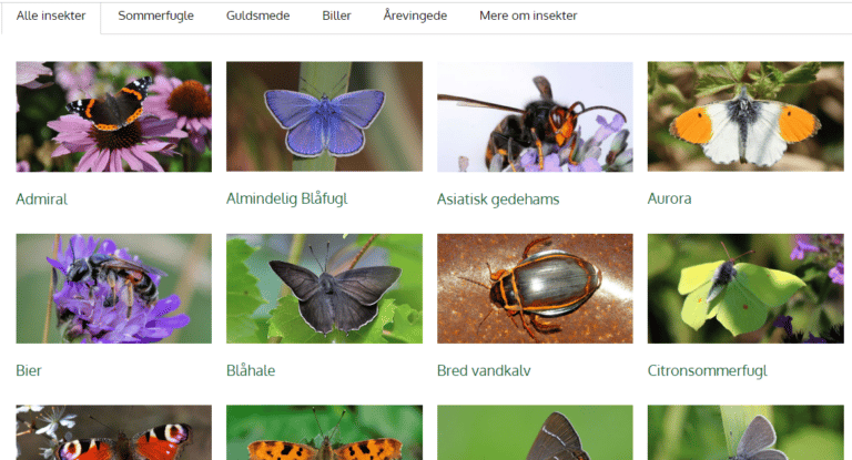 Flyvende insekter - fluenet.dk